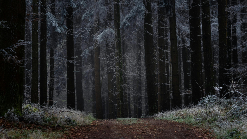 We Don’t Need to Fear God’s Enemies | Kimberly Faith